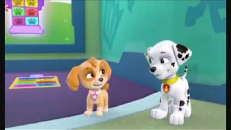 Paw Patrol Marshall X Skye Paw Patrol Chase Instructs Rubble And Skye
