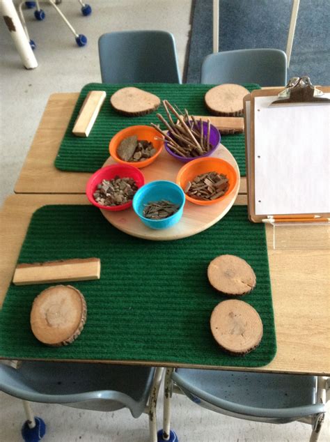 Exploration Activities For Kindergarten At Michael Berryhill Blog