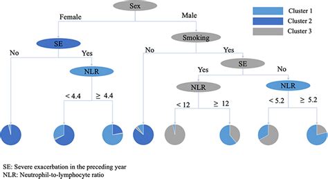 Characterizing Ecopd Phenotypes Associations With In Hospital Outcome Copd