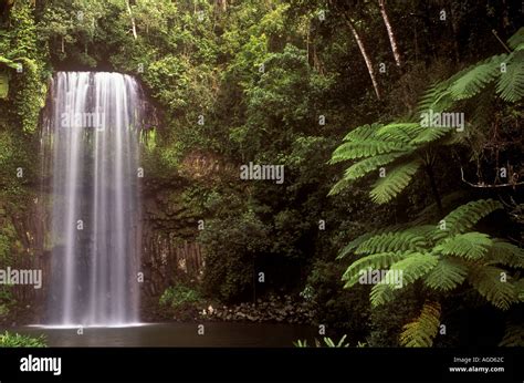 Australia Queensland Millaa Millaa Falls The Famous Waterfall And World