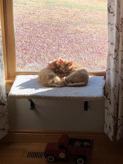 Sam And Liz Rbondedpairs