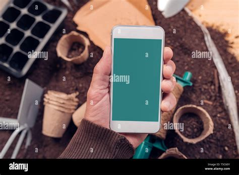 Smartphone Screen Mock Up For Gardening And Seeding App Mobile Phone In Gardeners Hand Over