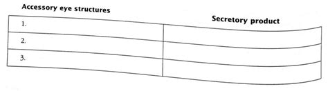Three Main Accessory Eye Structures Contribute To The Format Quizlet