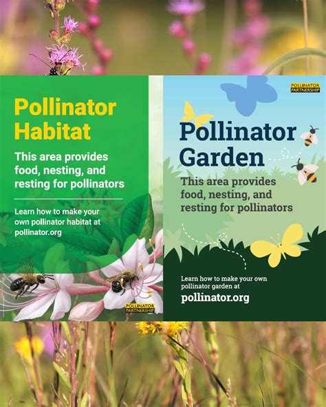 The Pollinator Partnership The Pollinator Partnership