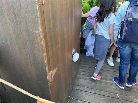 Safety Feature Torn Down By Guests In Indiana Jones Adventure Extended