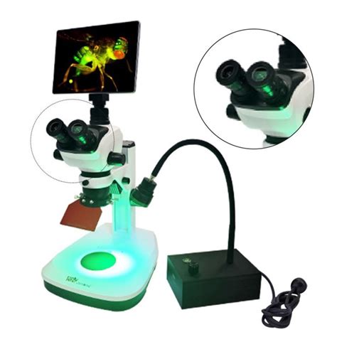 Dk 300x Stereo Microscope Fluorescence Adapter Manufacturers And