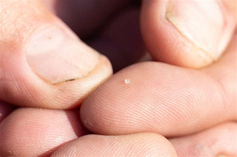 Pennsylvania Plastics Pollution Settlement Could Set A National