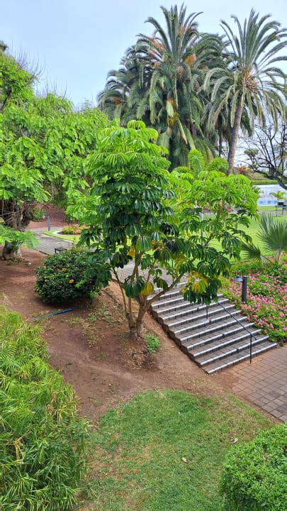Ausblick Trh Taoro Garden Puerto De La Cruz • Holidaycheck Teneriffa Spanien