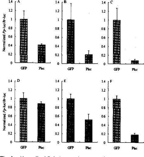 Figure 1 From A Transient Rna Interference Assaysystem Jssw Using Arabidopsis Semantic Scholar