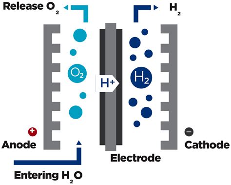 A Comprehensive Guide To Hydrogen Water Bottles Hydrogen Water Generators And Hydrogen Water