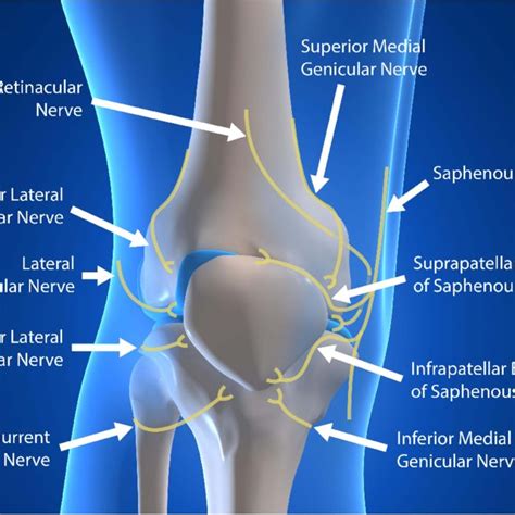 Budapest Criteria For Crps Diagnosis Download Scientific Diagram