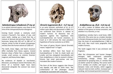 Orrorin Tugenensis Fossil