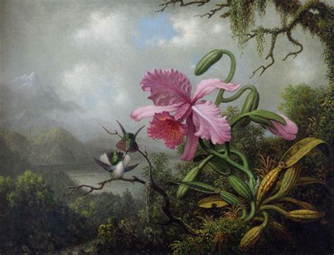 Martin Johnson Heade Mcmullen Museum Of Art