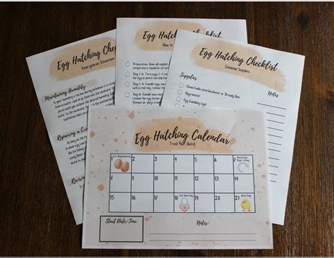 Peach Printable Egg Hatching Checklist Egg Hatching Calendar Egg