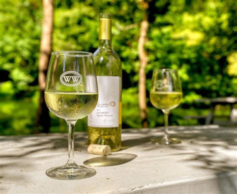 Angela Venneri Posted On Linkedin