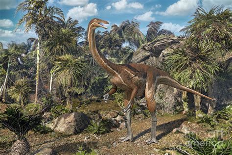 Gallimimus Dinosaur Photograph By Roger Harrisscience Photo Library