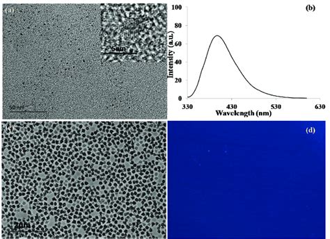 A Tem Image Of Gqds B Fluorescence Spectroscopy Of Gqds Under 320 Download Scientific