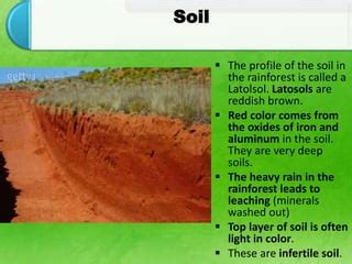 Tropical Forest Ecosystem Pptx