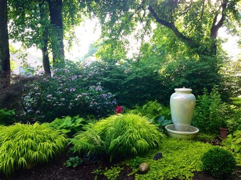 Shade Garden Japanese Forest Grass Hosta Creeping Jenny Hillside
