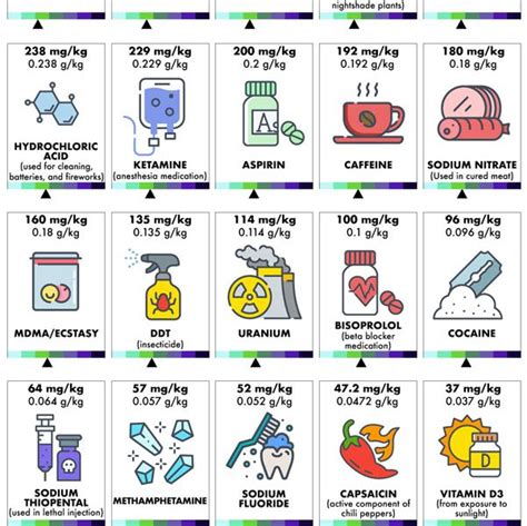 The Lethal Doses Of 55 Substances Infographic Best Infographics
