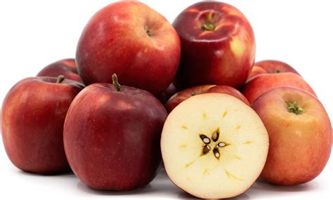 Jonathan Apple Alchetron The Free Social Encyclopedia