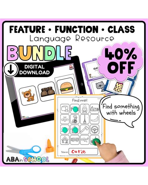 Receptive Identification Feature Function Class Activities Ablls