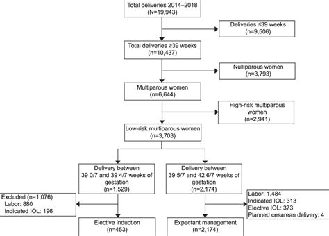 Elective Induction Of Labor In The 39th Week Of Gestation Co