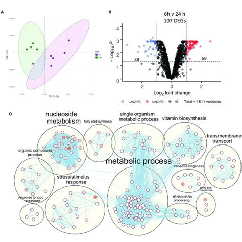 Nthi Transcriptomic Regulation During Adaptation To Intracellular Download Scientific Diagram