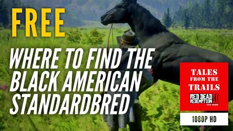 🗣 Rdr2 Where To Find The Black American Standardbred Free Location