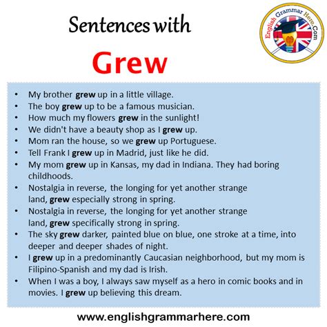 Sentences With Location Location In A Sentence In English Sentences