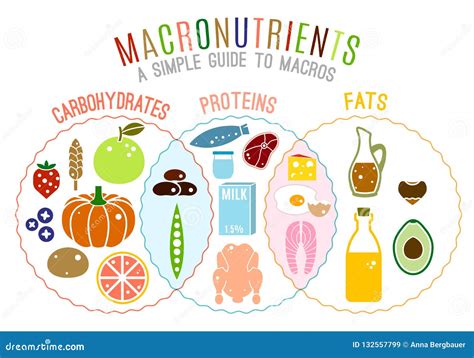 Main Food Groups Stock Vector Illustration Of Infographic 132557799
