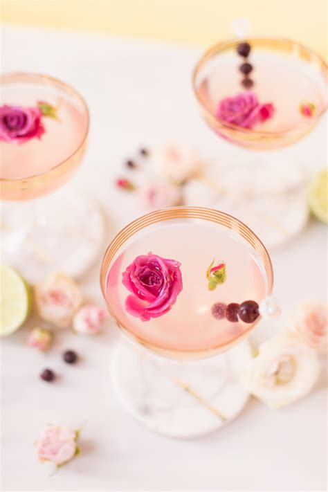 Honeyed Saskatoon Cherry Gimlet Justinecelina