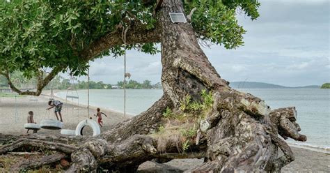 Climate Science Is Now The Law Benjamin Neimark