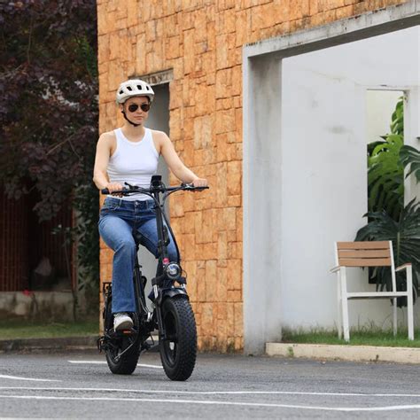 Windone S16 Fat Tire Folding Ebike With Snow Tires For Canada Adults