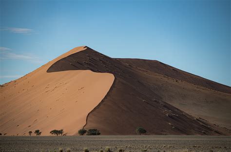 Eterna — Phillip Silverstein