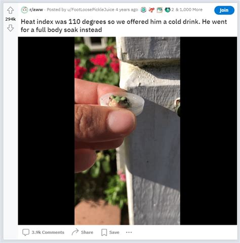 Top 10 Most Upvoted Reddit Posts Of All Time Upvoteshop