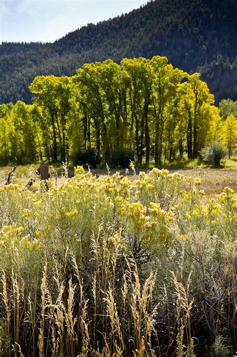 Elevation Map Of Larimer County Co Usa Topographic Map Altitude Map