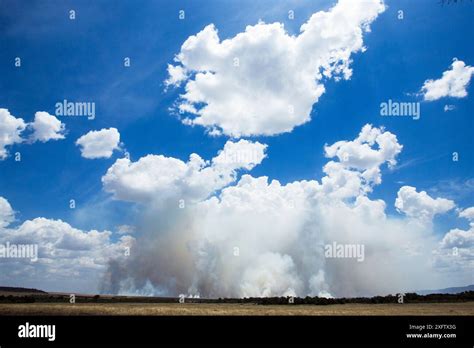 Grass Fires In The Distance Masai Mara National Reserve Kenya