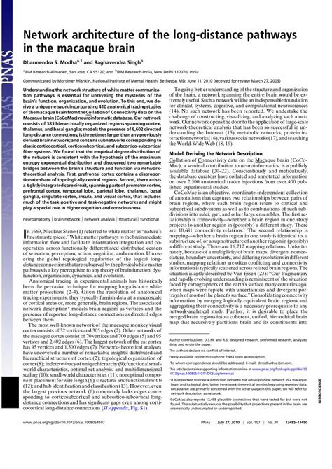 Pdf Brain Pathways Dokumentips