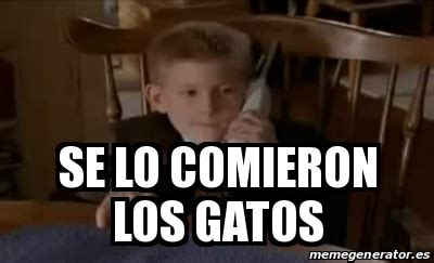 Meme Personalizado Se Lo Comieron Los Gatos 14814365