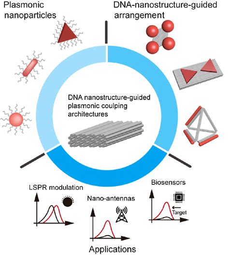 Dna Nanostructure Guided Plasmon Coupling Architectures Ccs Chemistry