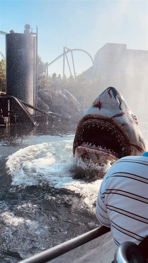 Jaws Theme Park Ride