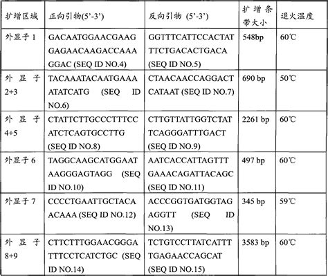 Cyp2c9 Gene Segment Comprising 287g C Coded Protein Segment And Application Thereof Eureka