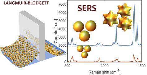Optimizing Gold Nanoparticle Size And Shape For The Fabrication Of Sers