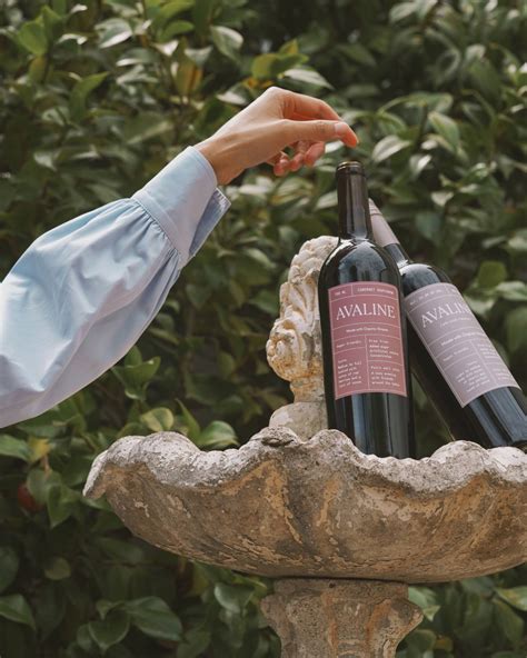 Best Organic Wine Brand A New Standard In Wine Avaline