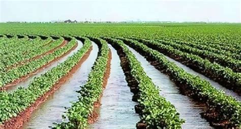 Tibaitatá Nuevo Distrito De Conservación De Suelos