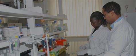 Molecular Biology Techniques And Bioinformatics Trainings