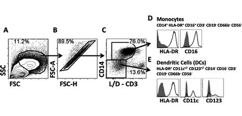 Gating Strategy Stained Pbmc Were Gated On Cells With High Fsc And Ssc Download Scientific