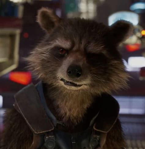 Pin By On R Guardians Of The Galaxy Rocket Raccoon Marvel