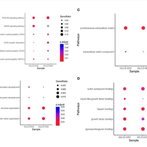 Dot Plots Of Pathway Enrichment Analysis Using Annotations Of A